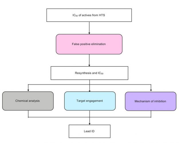 A pragmatic approach to hit validation following biochemical high ...