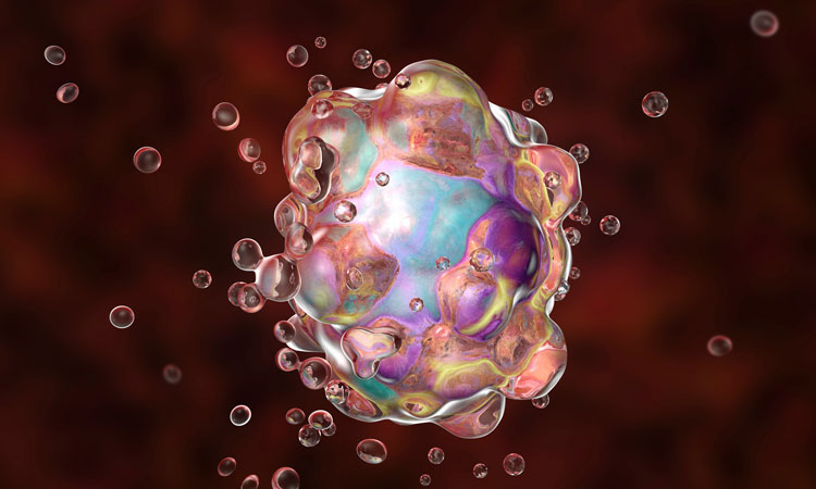 New compound keeps cells alive and functioning in a healthy state