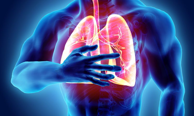 Possible target found for idiopathic pulmonary fibrosis treatment