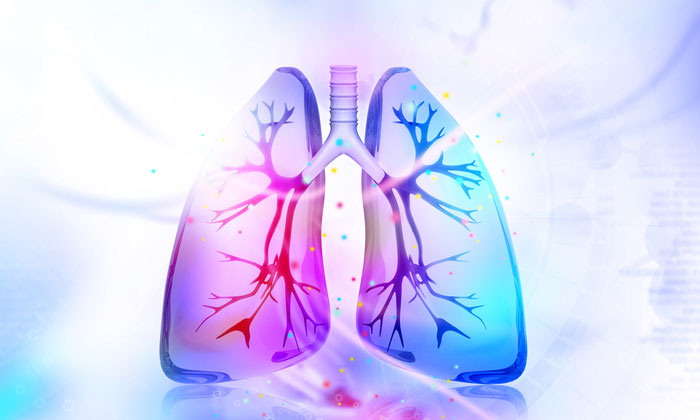 Lung study in mice points to new therapies to treat critical illness