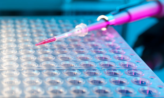 GSK: A Lifetime in Fluorescence