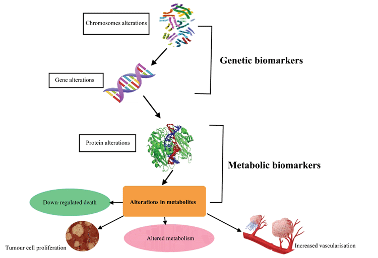 Biomarkers as molecular footprints for cancer therapy
